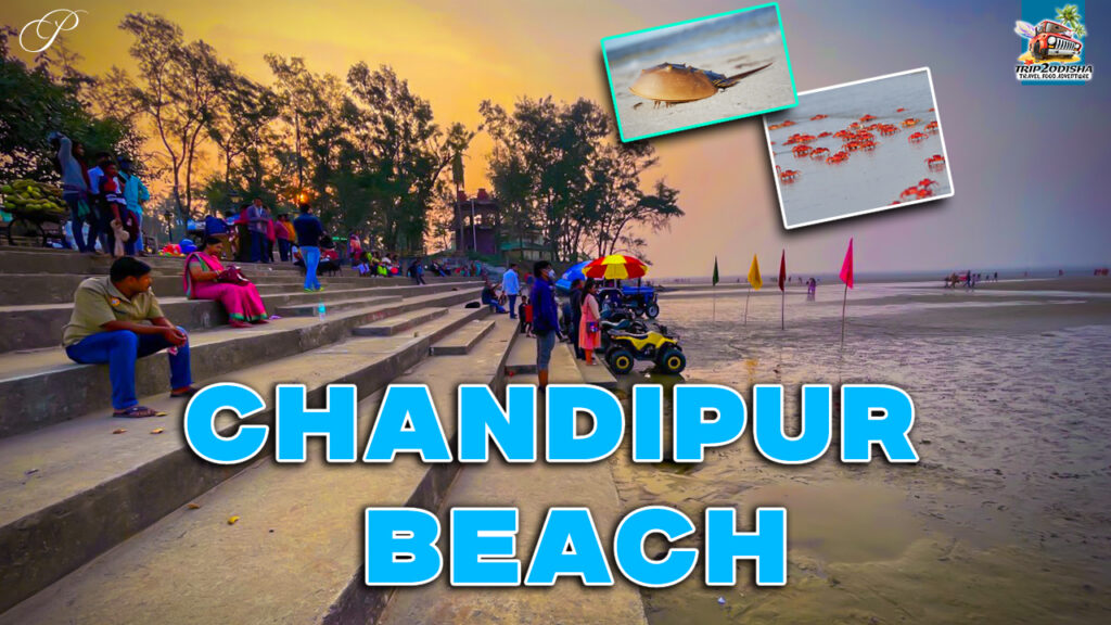 Odisha Beach - Trip2Odisha