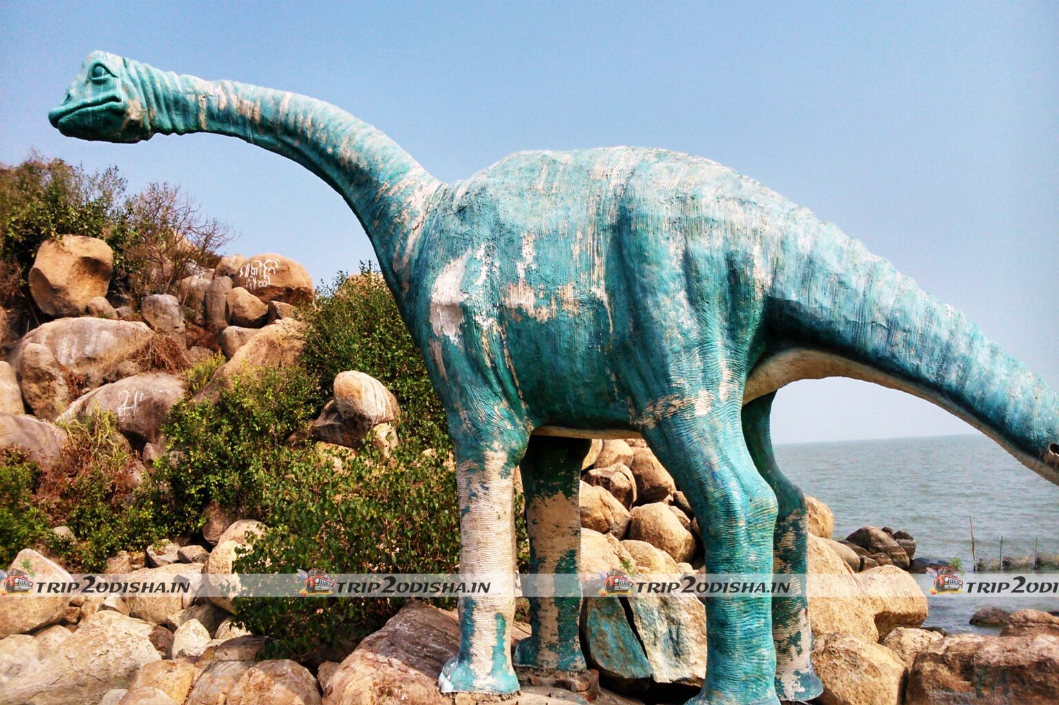 Chilika Lake: The largest coastal lagoon in India - Trip2Odisha