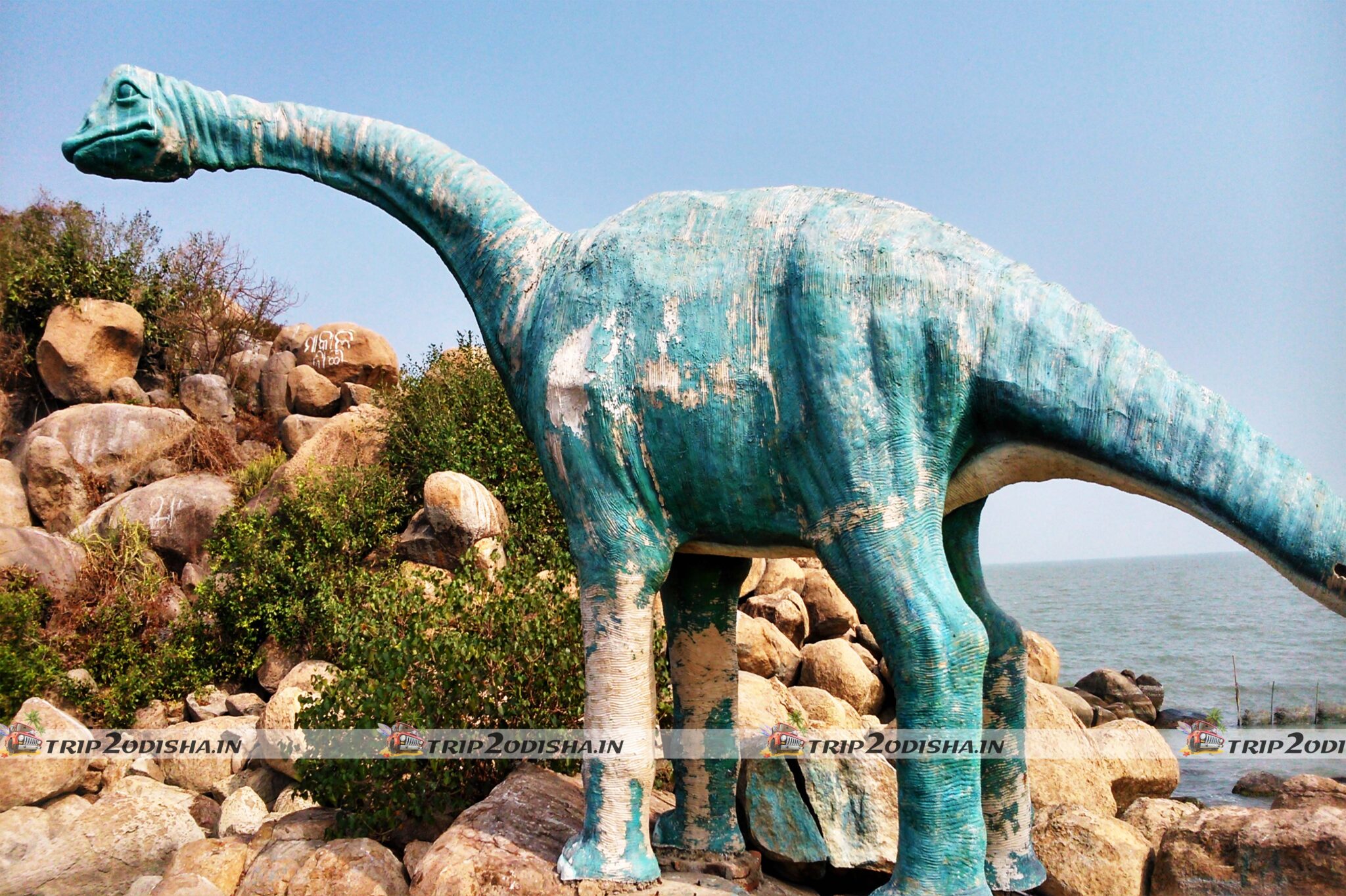 Chilika Lake: The largest coastal lagoon in India - Trip2Odisha