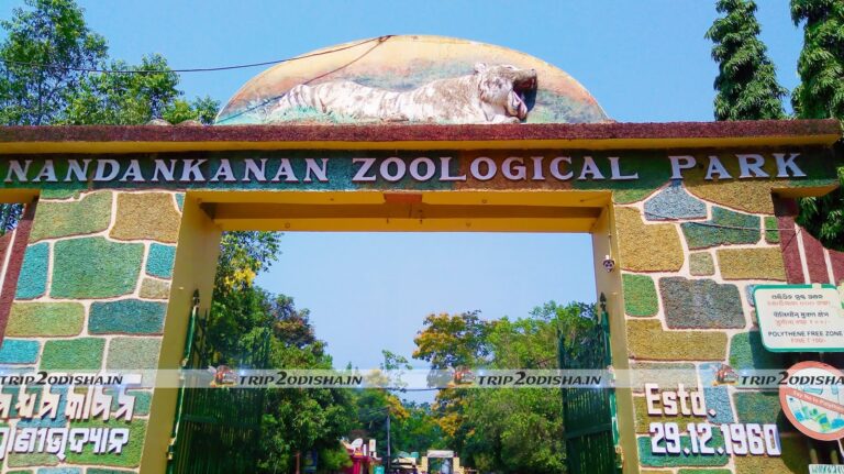 Nandankanan is recognized as the finest zoological park in Odisha and ...