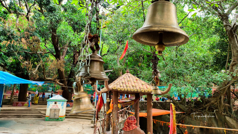 Panchalingeswar Temple: Where Divinity Meets Serenity - Trip2Odisha