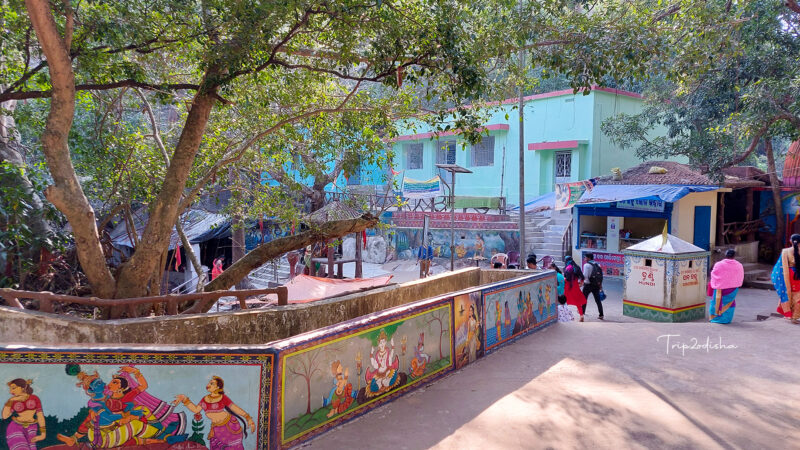 Panchalingeswar Temple: Where Divinity Meets Serenity - Trip2Odisha